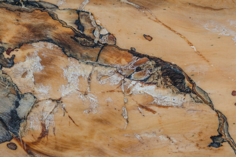 Mythic Landscape – Seeing with new eyes