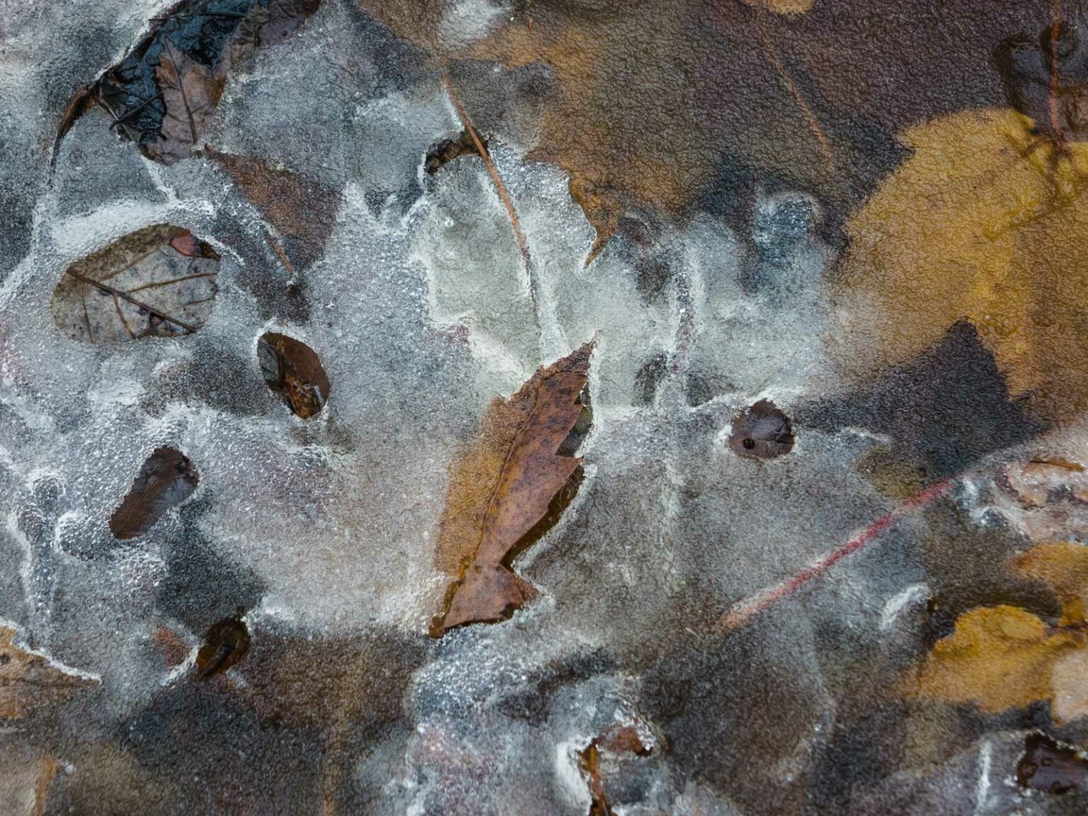 Mythic Landscape – Seeing with new eyes